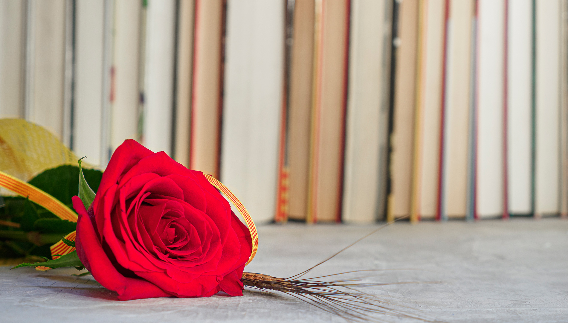 Zonas cortadas y aparcamientos en Sant Jordi 2024 - Wikidriver